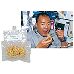 About Us – Indo Nissin