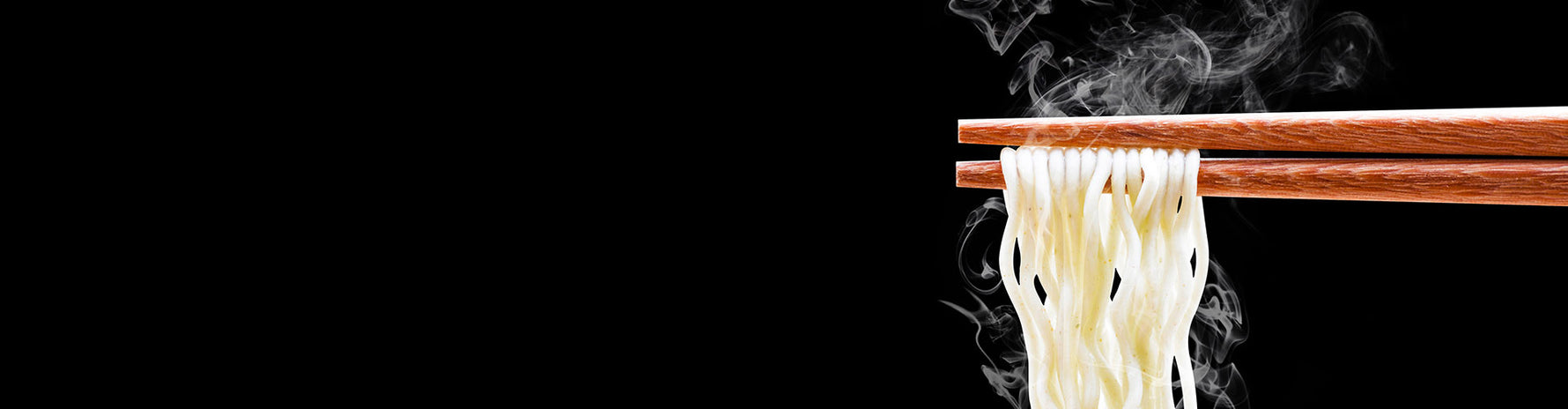 About Us – Indo Nissin